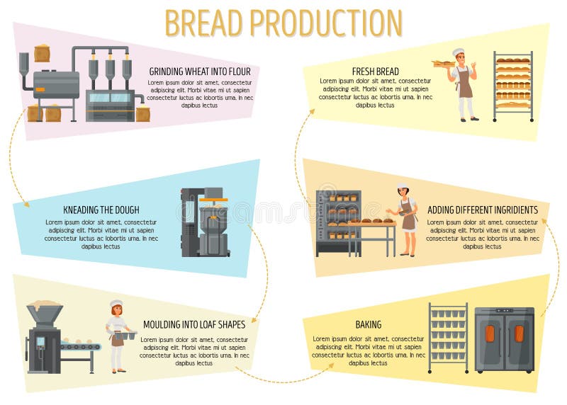 Bread Production Infographic Vector Flat Style Design Stock Vector ...