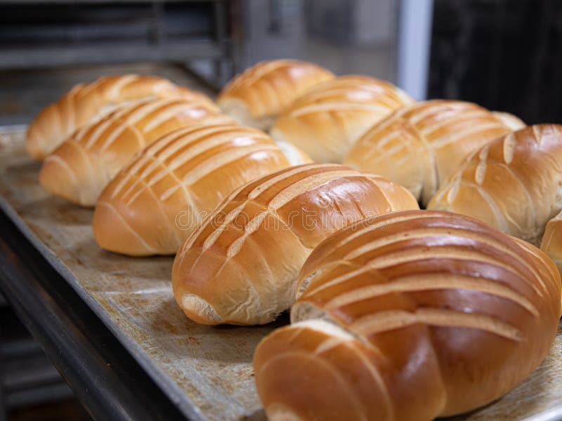 Bread in Production Inside the Bakery Stock Image - Image of ...