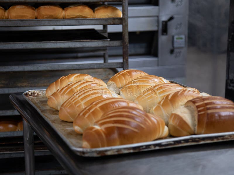 Bread in Production Inside the Bakery Stock Photo - Image of oven ...