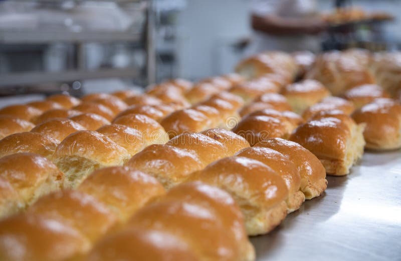 Bread in Production Inside the Bakery Stock Image - Image of production ...