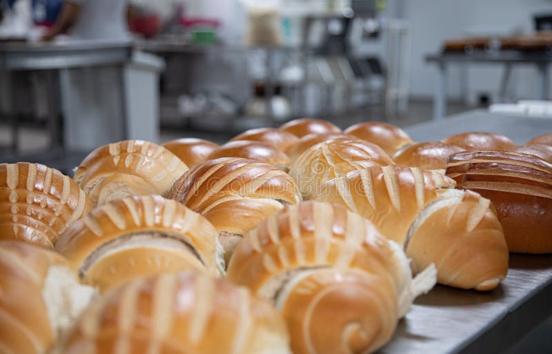 Bread in Production Inside the Bakery Stock Photo - Image of basket ...