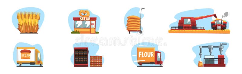 Bread Production Process and Step Scene Vector Set Stock Illustration ...