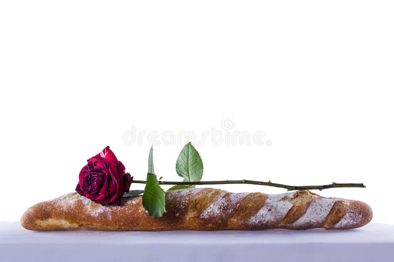 Bread and Rose stock photo. Image of food, happy, tandem - 69278852