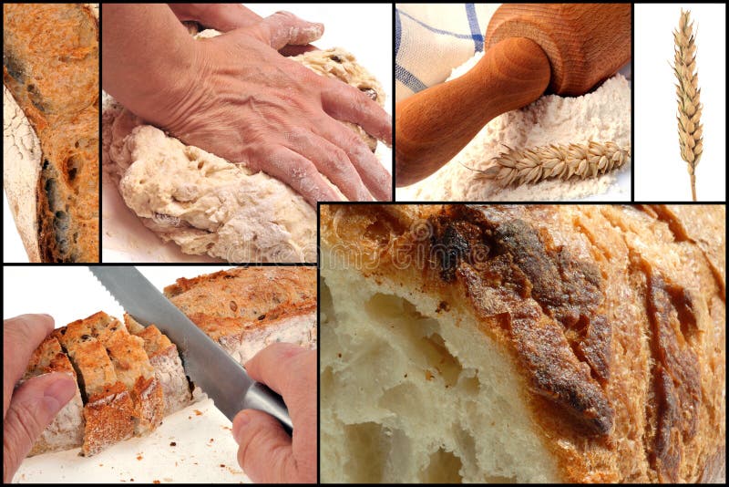 The Bread, from Its Manufacture To Its Tasting Stock Image - Image of ...
