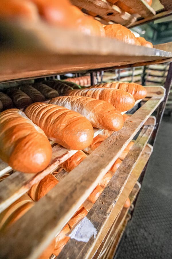 Bread on the Shelf at Bread Factory Stock Photo - Image of grain, loaf ...