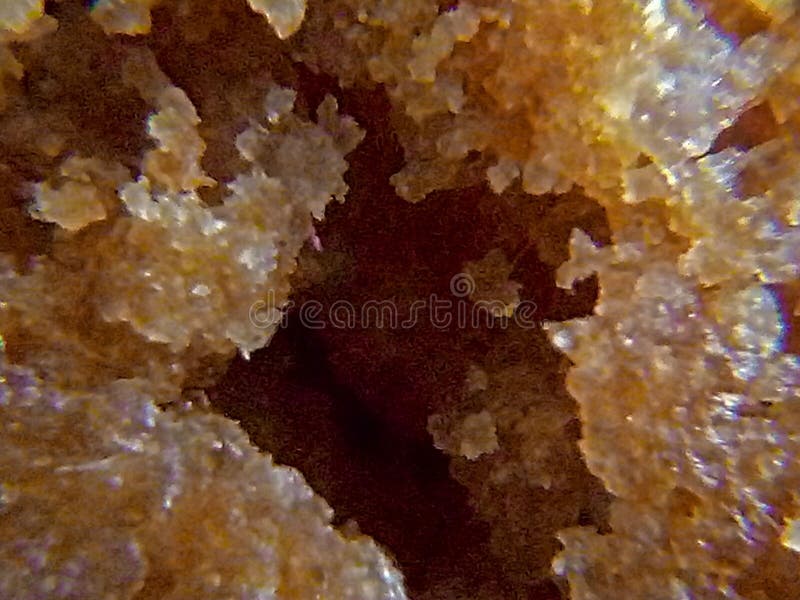 Carpet Microscope Stock Photos - Free & Royalty-Free Stock Photos from ...