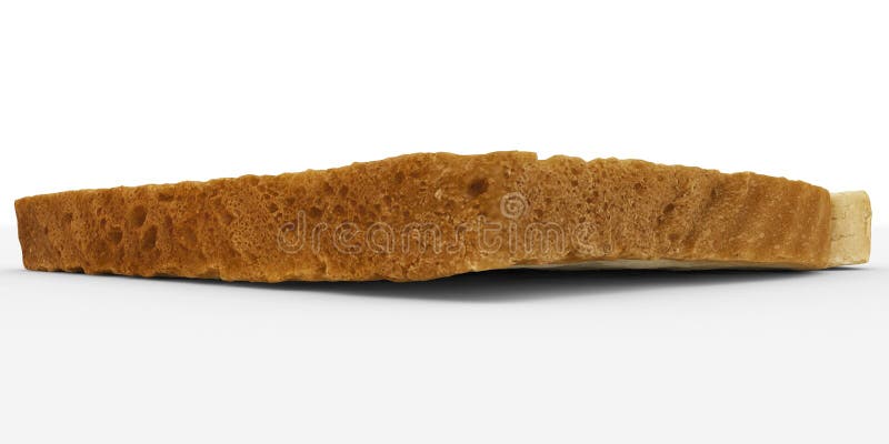 Bread Slice - Single Toast Crust Close-up - Isolated On White Stock ...