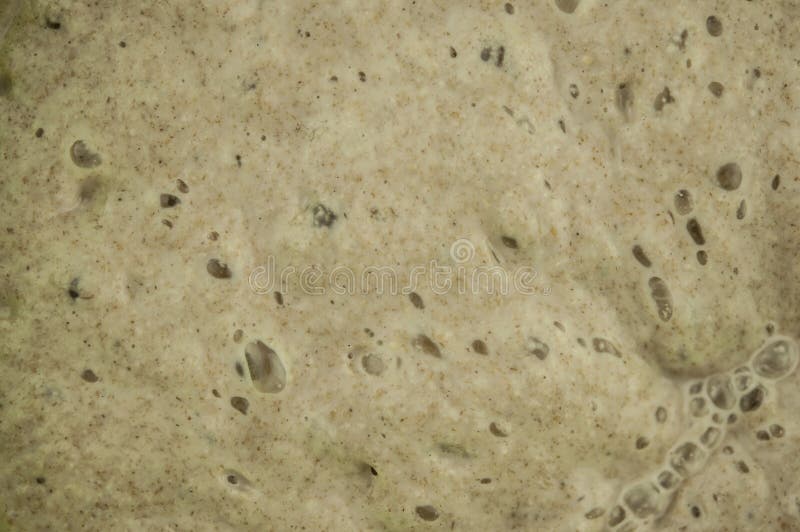 Bread Starter. Close Up Shot of Bread Dough Texture. Air Bubbles from ...
