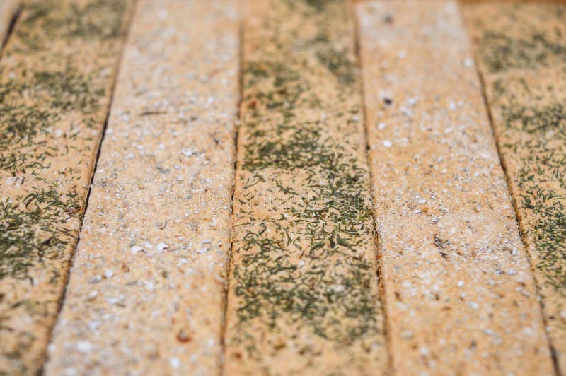 Bread strips stock photo. Image of natural, crisp, fresh - 47167472