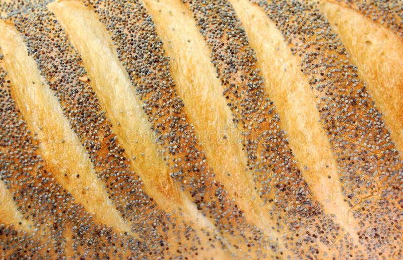 Bread texture stock photo. Image of fresh, seeds, basic - 11439690