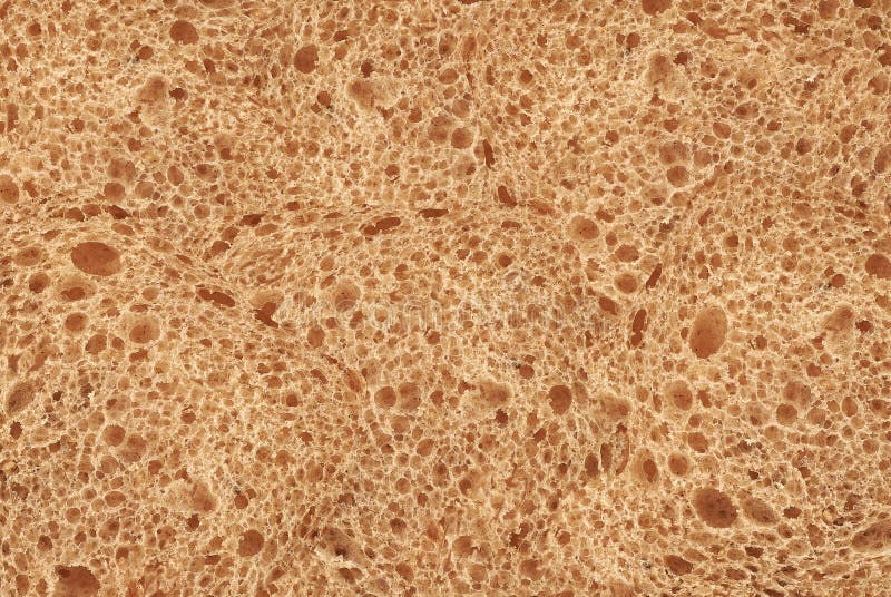 Bread texture stock photo. Image of wheat, sponge, bread - 18900420