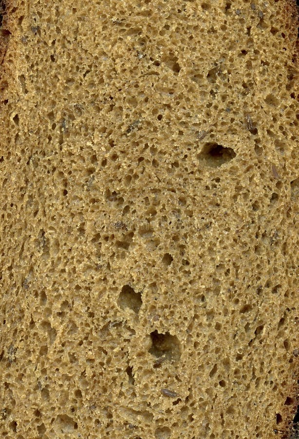 Bread texture stock image. Image of surface, texture, bread - 8629313