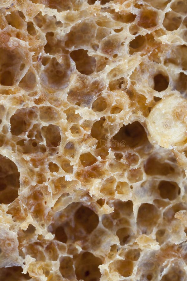 Bread texture stock image. Image of surface, texture, bread - 8629313