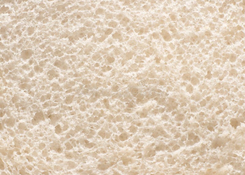 Bread texture stock image. Image of surface, texture, bread - 8629313