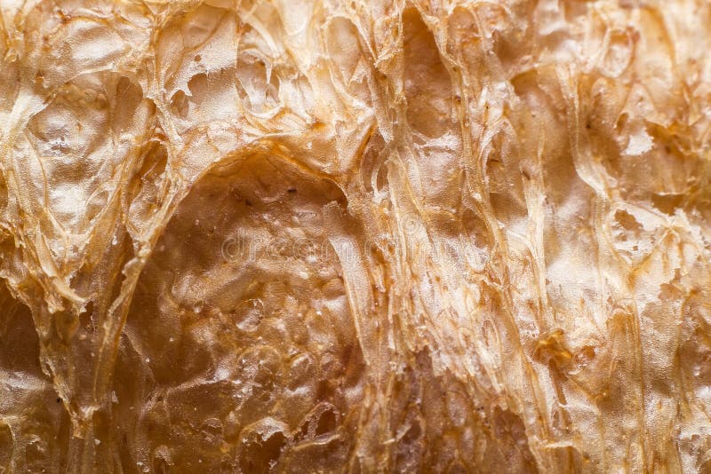 Bread texture stock image. Image of healthy, flour, eating - 36702807