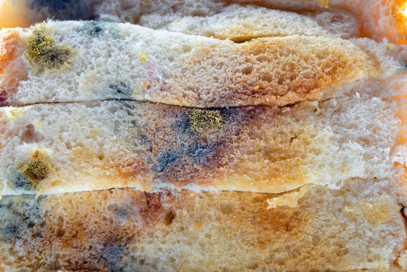 Bread Texture with Mold Close Up Shot Stock Image - Image of cuisine ...