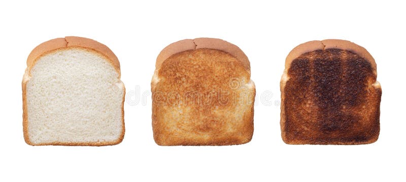 Bread To Toast Stages stock photo. Image of food, crusty - 241746240