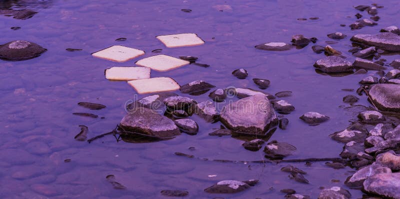 Bread in the water stock photo. Image of rural, litter - 90208714