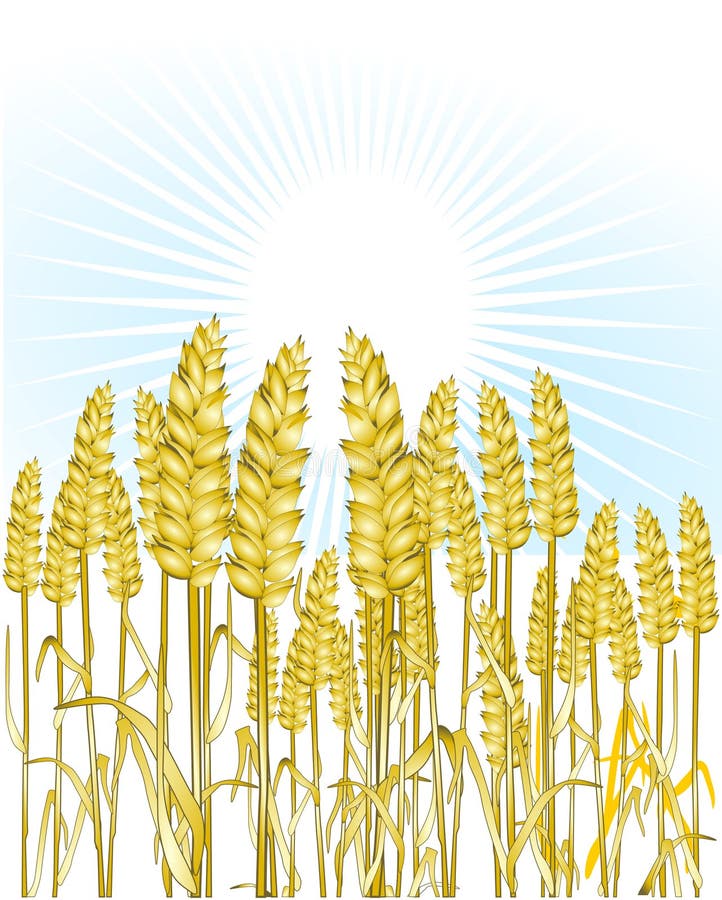 Bread Gold Stock Illustrations – 17,088 Bread Gold Stock Illustrations ...