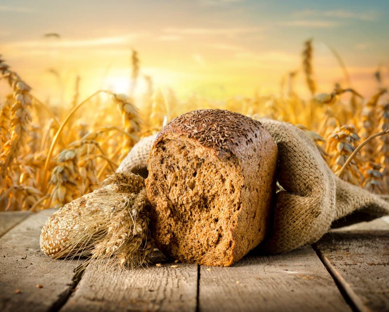 Bread and wheat field stock photo. Image of field, country - 194343950