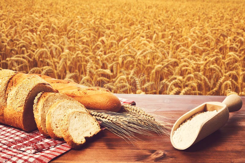 Bakery food stock image. Image of delicious, healthy - 123389721