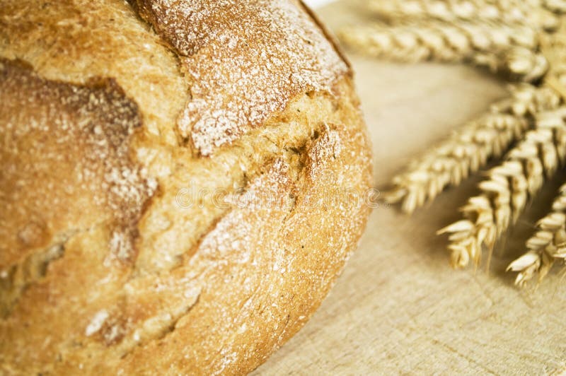 Bread and wheat macro shot stock photo. Image of background - 151700804