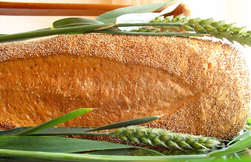 Bread and wheaties stock image. Image of board, wheatear - 54787