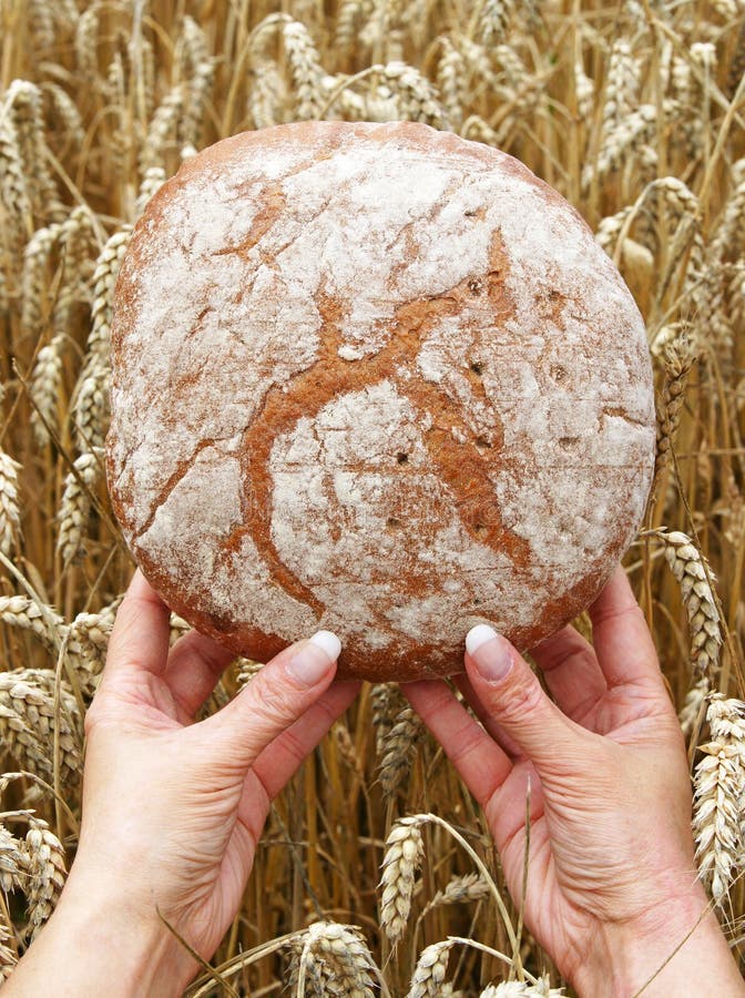 People sharing bread stock image. Image of family, community - 11023147