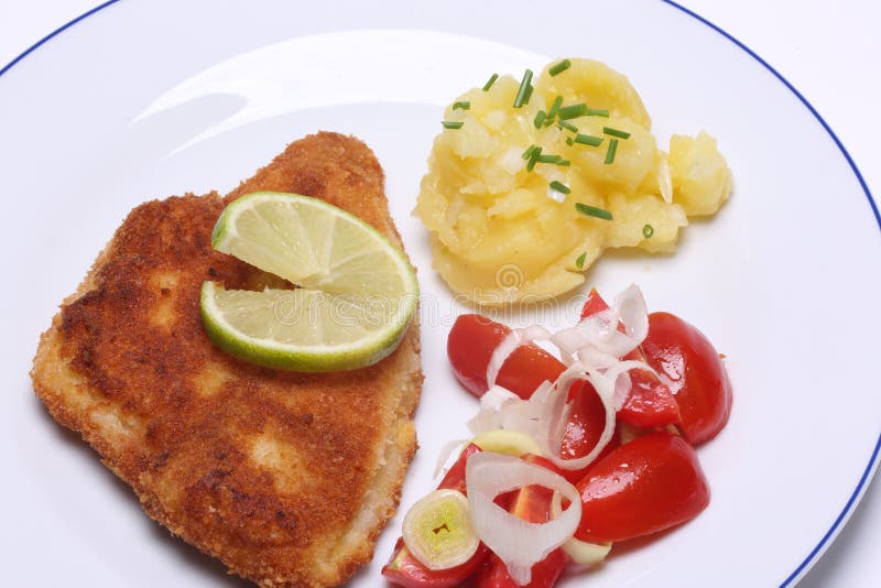 Breaded fish and salad stock photo. Image of vegetables - 39947356