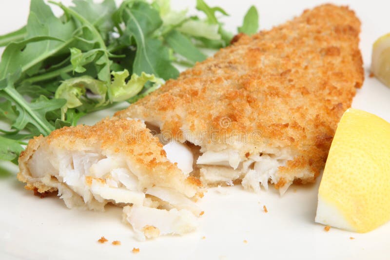 Breaded White Fish Fillet stock image. Image of food - 10352119