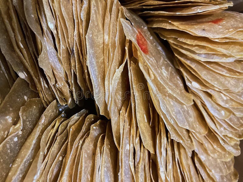 Breadfruit stock photo. Image of kepeng, originally - 211098466