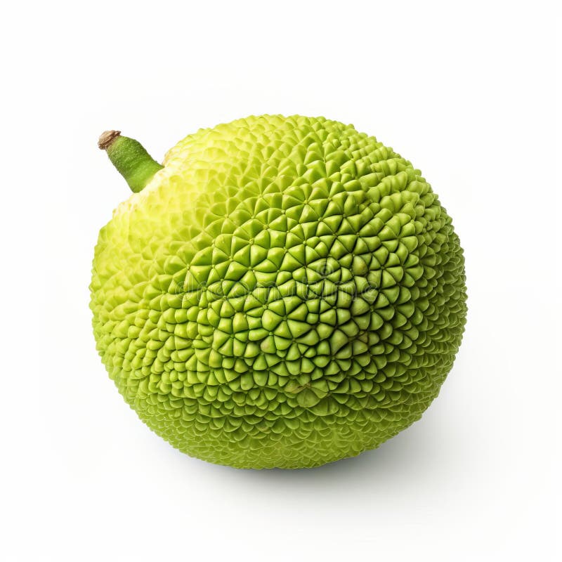 Vibrant Green Breadfruit Isolated on White Background Scene Stock ...