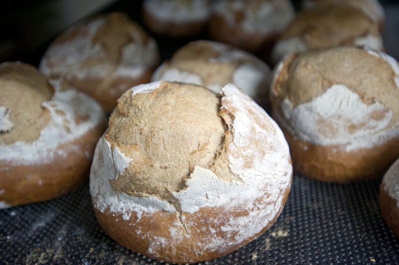 Hot breads stock photo. Image of breads, bread, baking - 36536910
