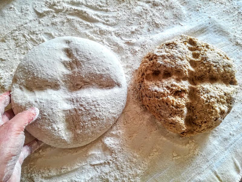 Bread Forms Kneaded Ready for the Oven Stock Image - Image of diet ...