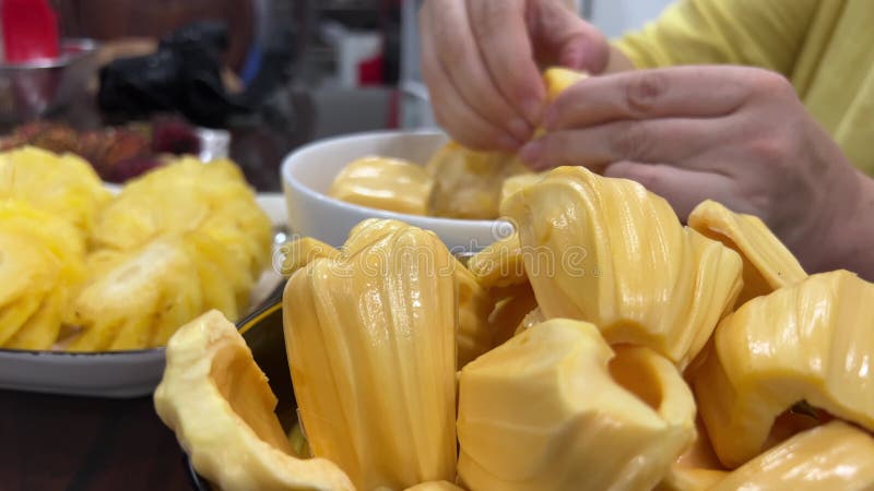 Break Apart Breadfruit Jackfruit and Prepare the Fruit for Eating ...