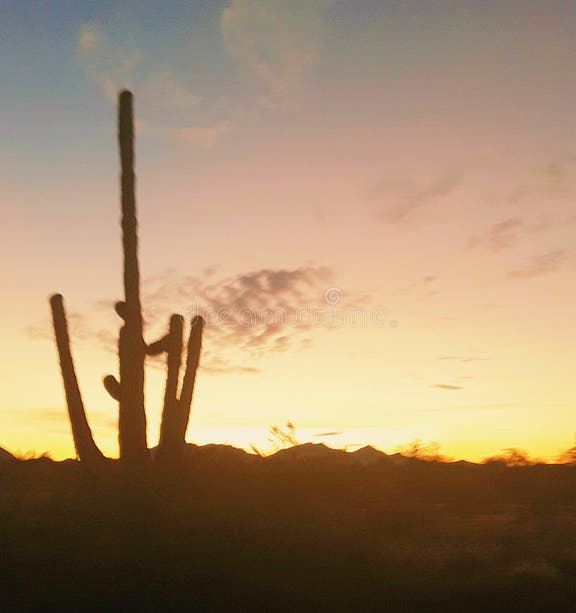 Break of day stock photo. Image of vsco, break, processed - 164966352