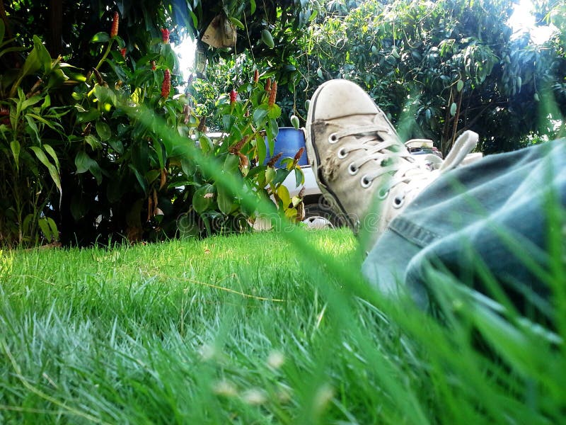 Break and relax stock image. Image of happy, garden, summer - 52268583