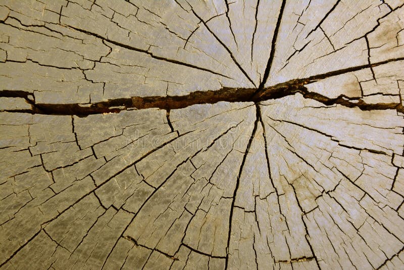 Break Wooden Texture Background. Stock Photo - Image of decor, texture ...