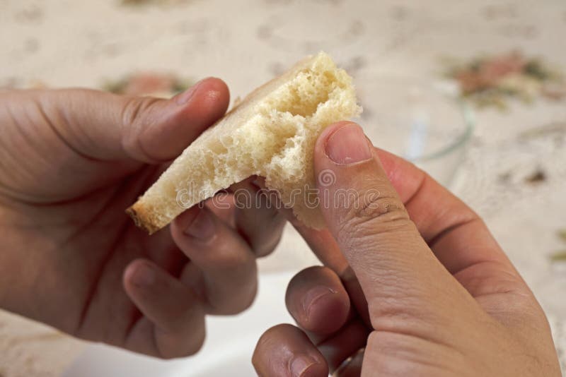 Break in Your Hands a Small Piece of White Sourdough Bread Made from ...