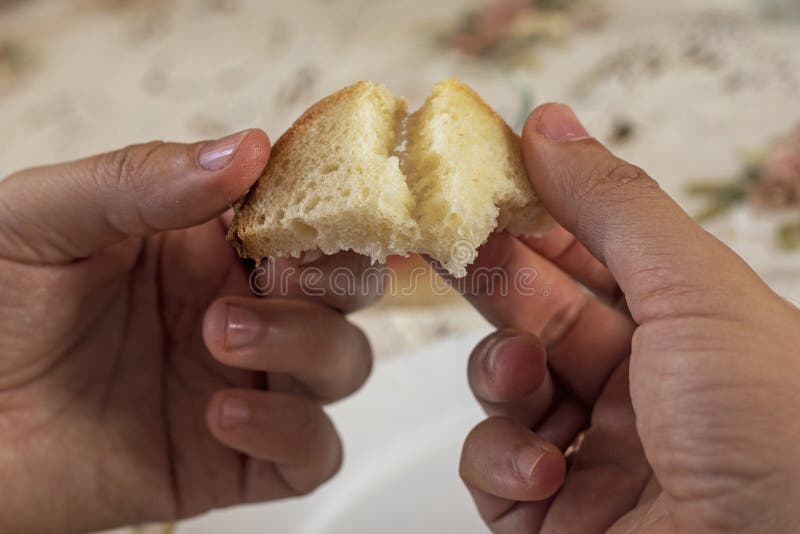 Break in Your Hands a Small Piece of White Sourdough Bread Made from ...