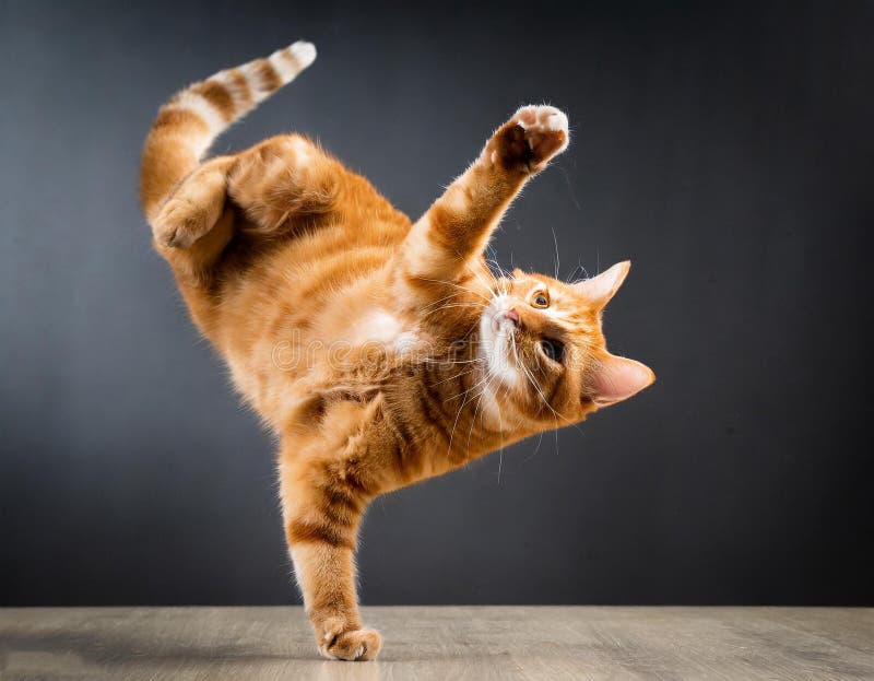 Impressive Handstand Stock Illustrations – 9 Impressive Handstand Stock ...