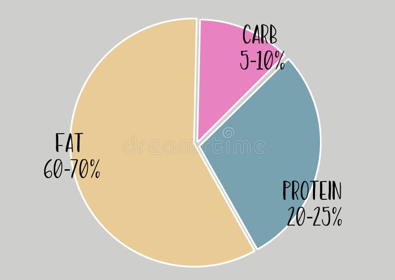 Breakdown of Macronutrients in the Ketogenic Diet Stock Illustration ...