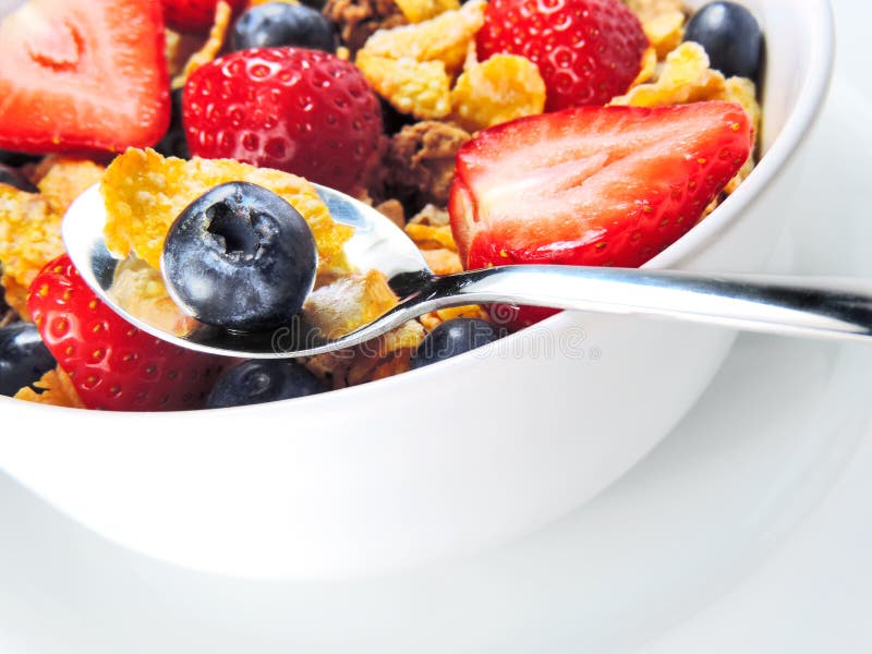 Breakfast Bowl Fresh Fruits Stock Image - Image of forest, breakfast ...