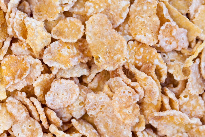 Breakfast cereal flakes stock photo. Image of healthy - 20280226