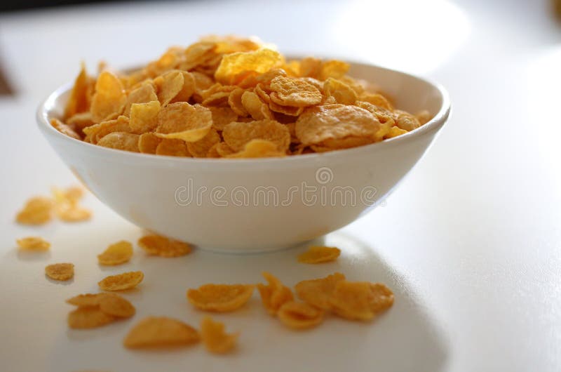 Breakfast Cereal with Milk . Cornflakes with Milk for Breakfast Stock ...
