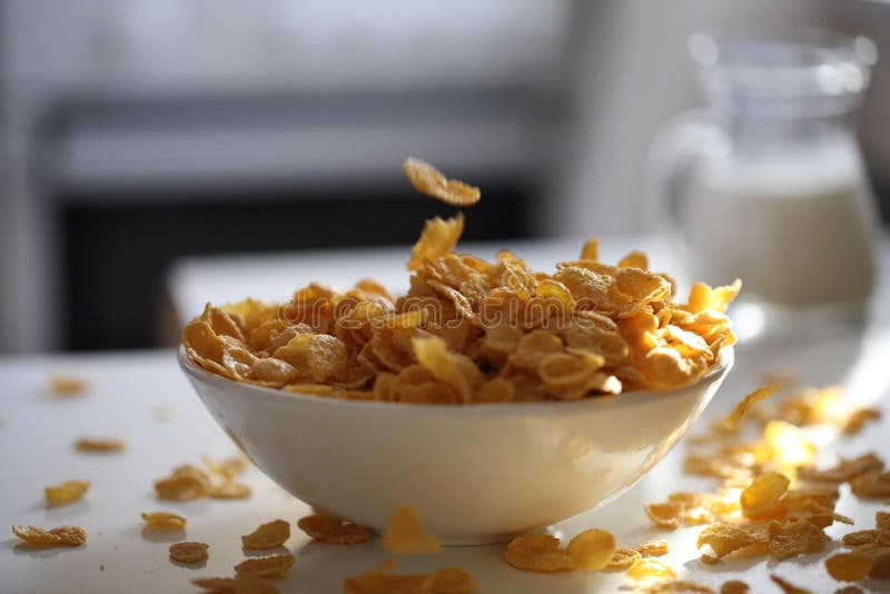 Breakfast Cereal with Milk . Cornflakes with Milk for Breakfast Stock ...