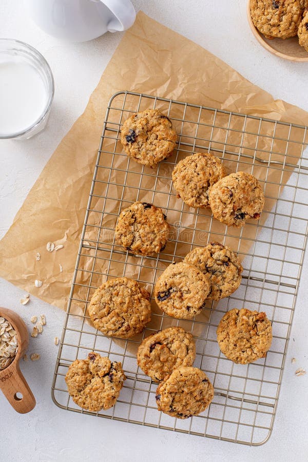 Breakfast Cookies with Oats, Nuts and Dried Cranberry Stock Image ...