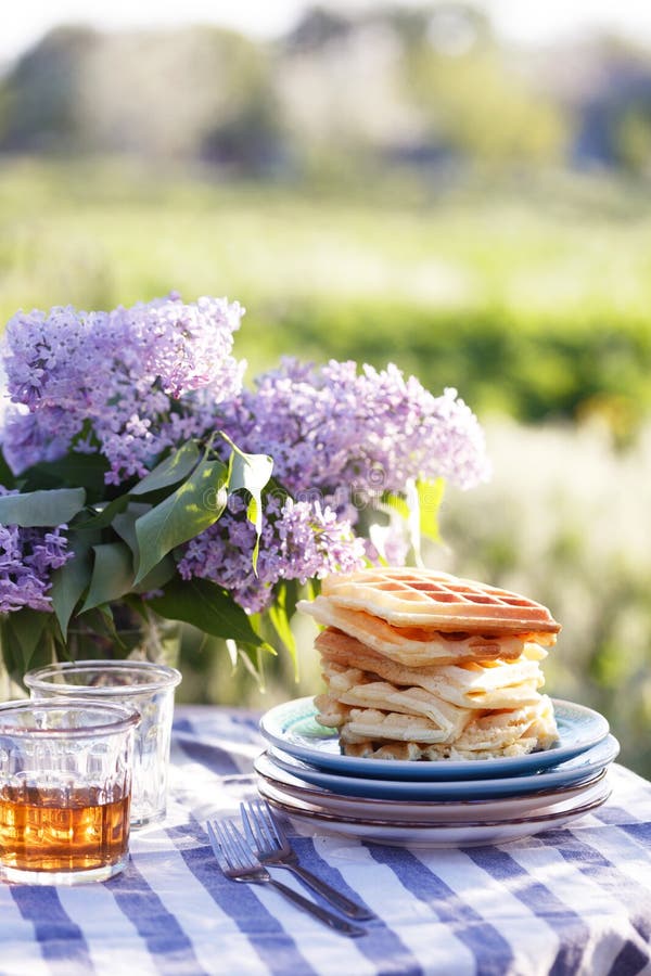 Breakfast in the garden stock photo. Image of shadow - 13329704