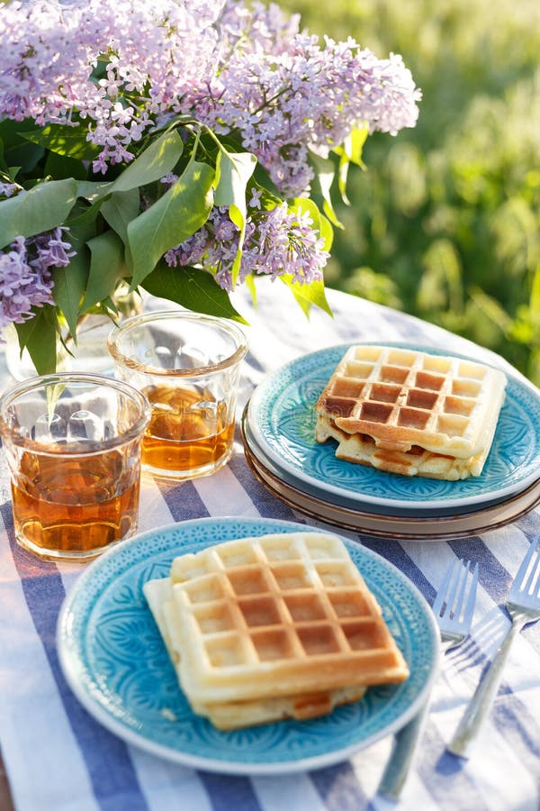 Breakfast in the garden stock photo. Image of shadow - 13329704
