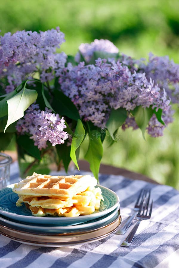 Breakfast in the garden stock image. Image of garden - 220456015